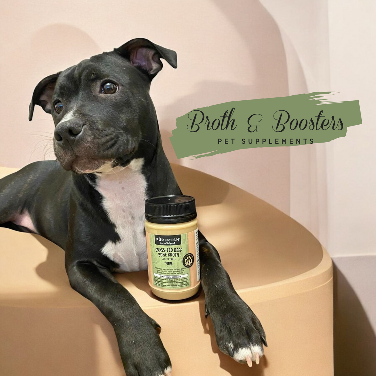 FurFresh Fresh Dog Food Delivery Australia | Australian Made Pet Food